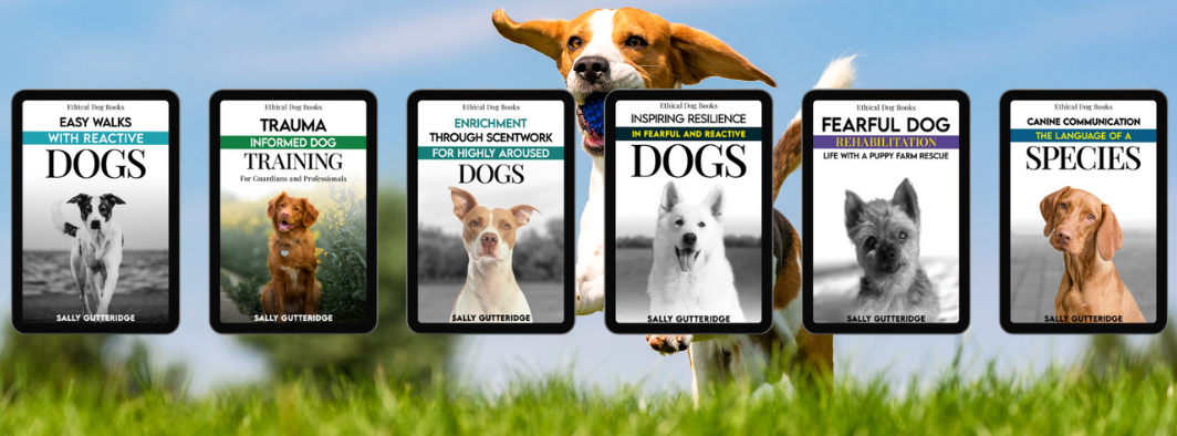 Products– Sally Gutteridge Books